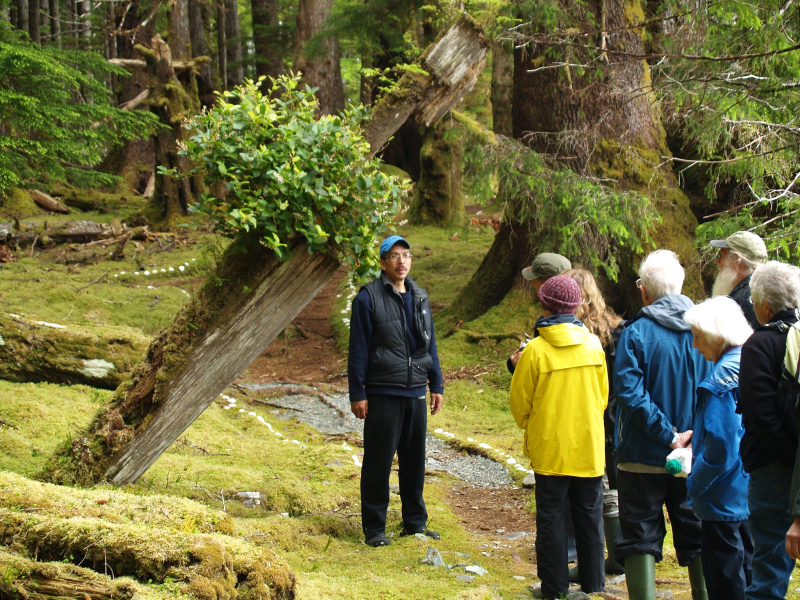 Haida Gwaii Sailing Tour | Queen Charlotte Islands