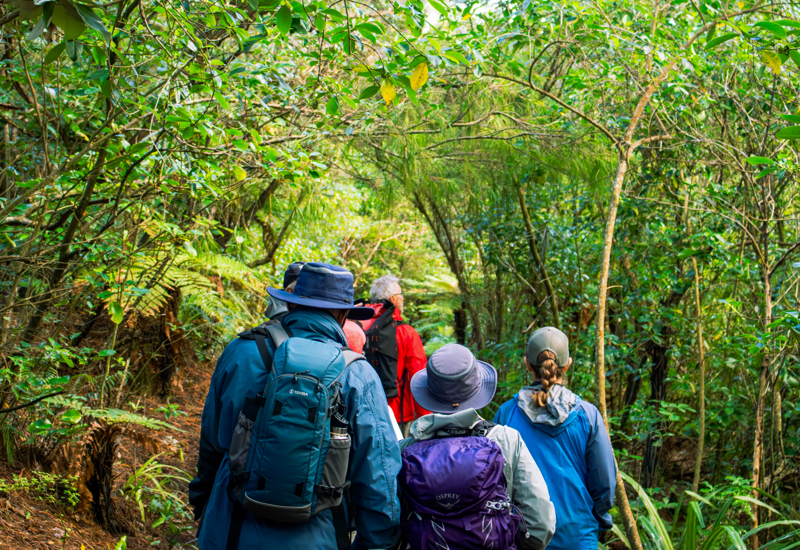New Zealand Coastal Odyssey