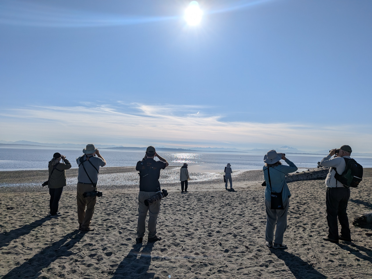 Ultimate British Columbia: Coast & Grasslands Trip Report (May 31 ...